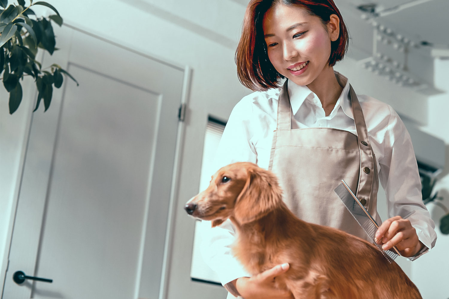 株式会社LIFACT | 人のために、人とともに行う、こころが動く企業を目指して