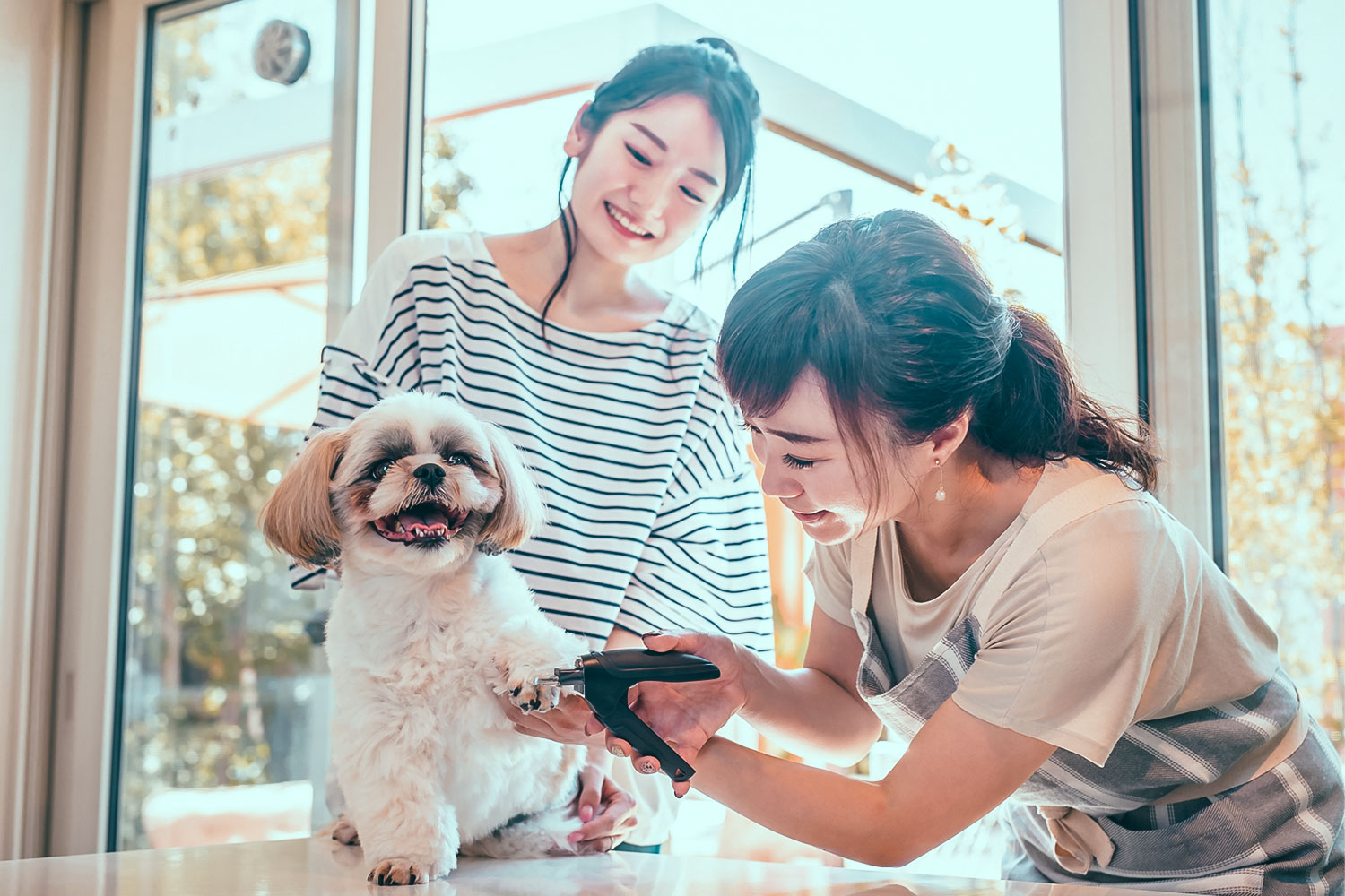 株式会社LIFACT | 人のために、人とともに行う、こころが動く企業を目指して